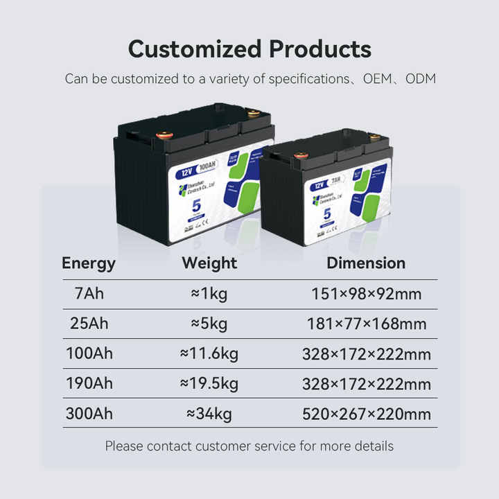 LFP 12V 24V 36V 48V Lifepo4 Battery Pack Customized 50Ah 100Ah 150Ah 200Ah 300Ah Lithium Ion ...