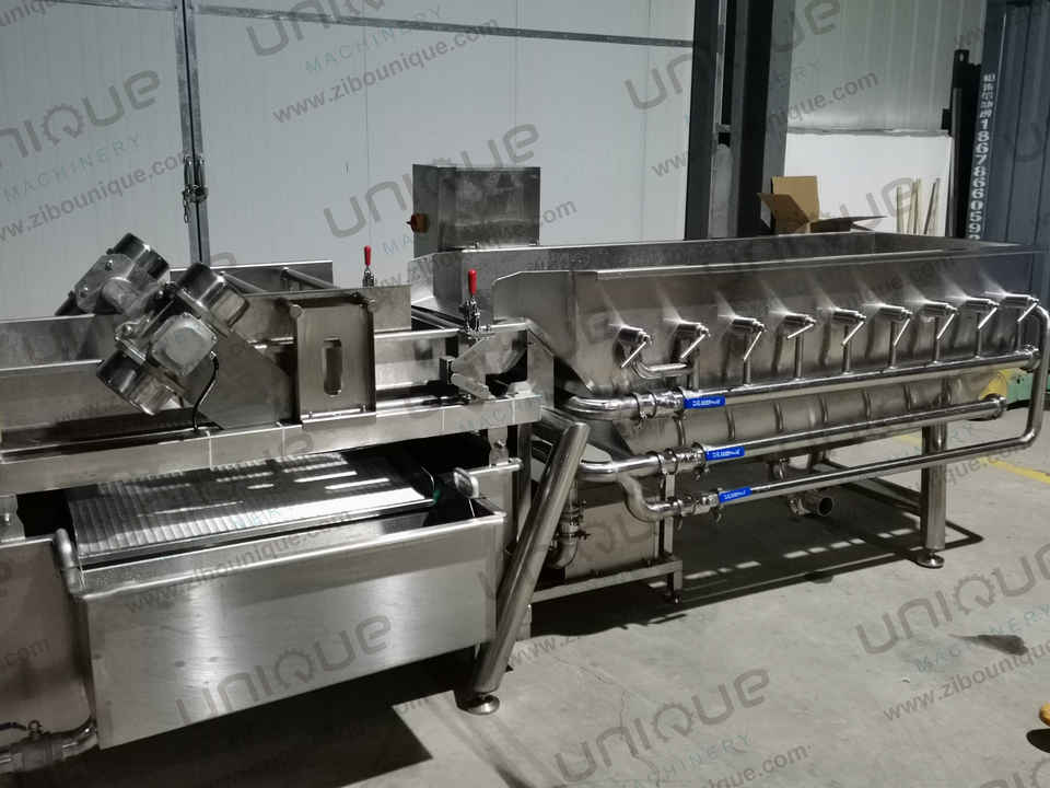 Industrial Vegetable Washer with Vortex Helix Cleaning System | Deep ...