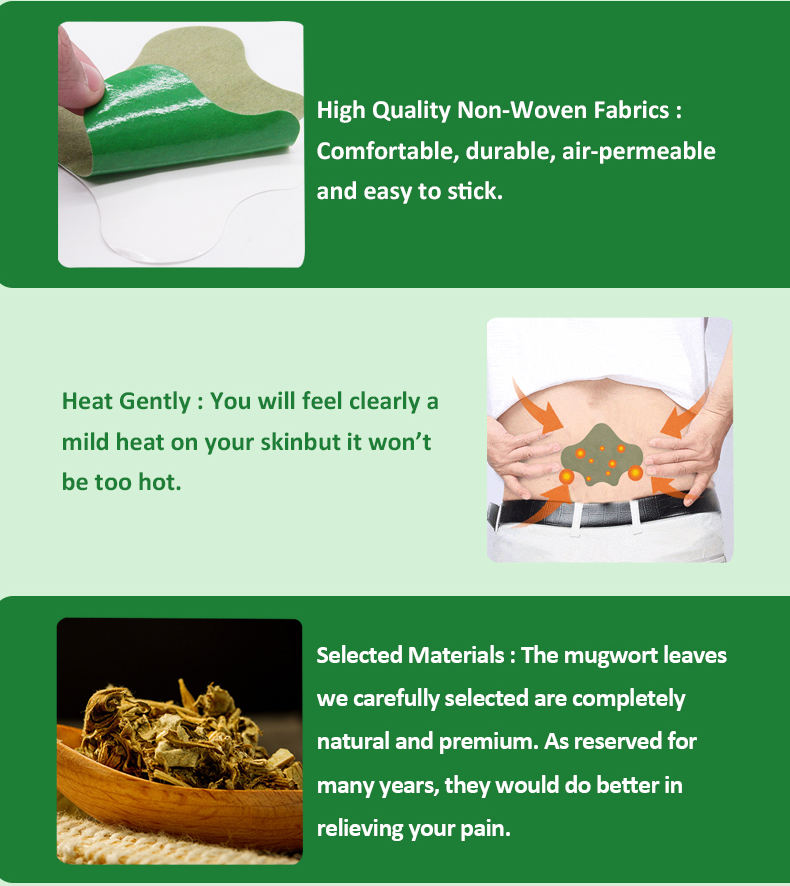 The Core Ingredient Is an Extract From Mugwort This Lumbar Patch Helps ...