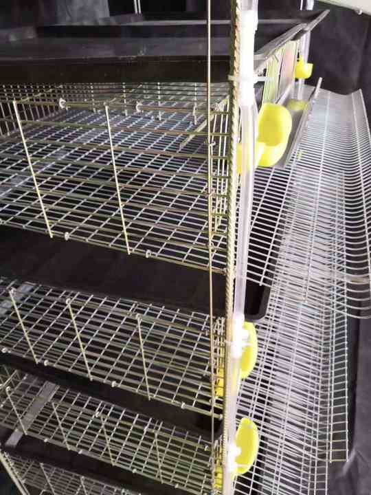 H Type Chicken Brooder Layer Cage - 4 Layers for Poultry
