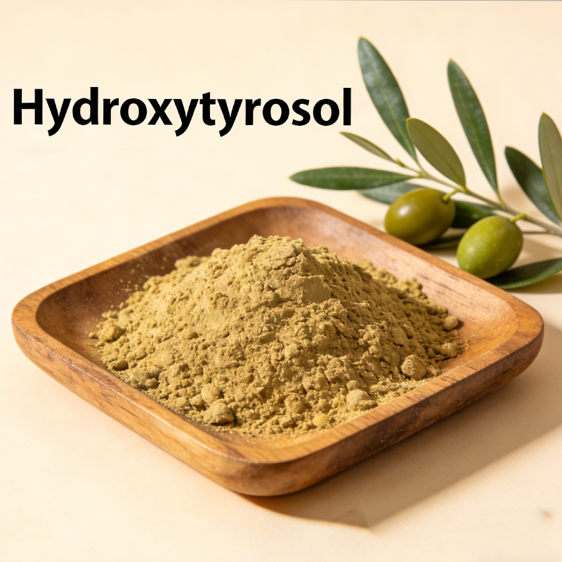 Bulk Price Olive Leaf Extract Hydroxytyrosol Powder 10% 25% ...