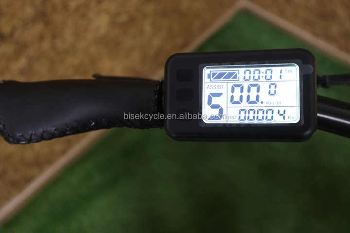 2024 BISEK CYCLE 48v 500w Beach Cruiser Electric Bike