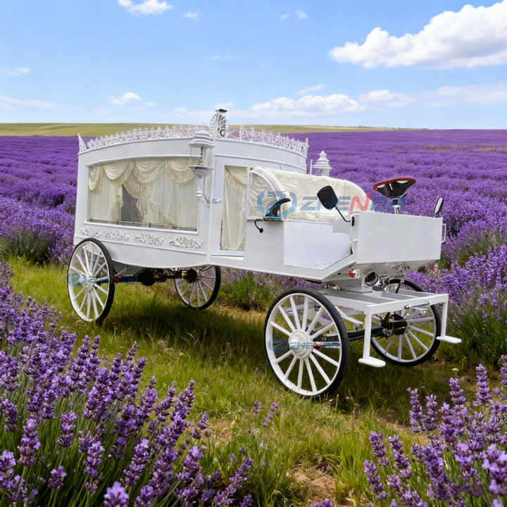 Hearse Funeral Horse Carriage White Funeral Hearse Vehicle Carriage ...