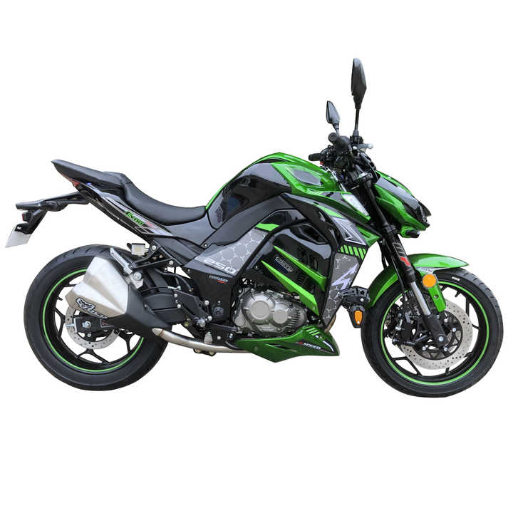 250CC Motorcycle with EURO5 - Racing Motorcycle N19 Z 1000