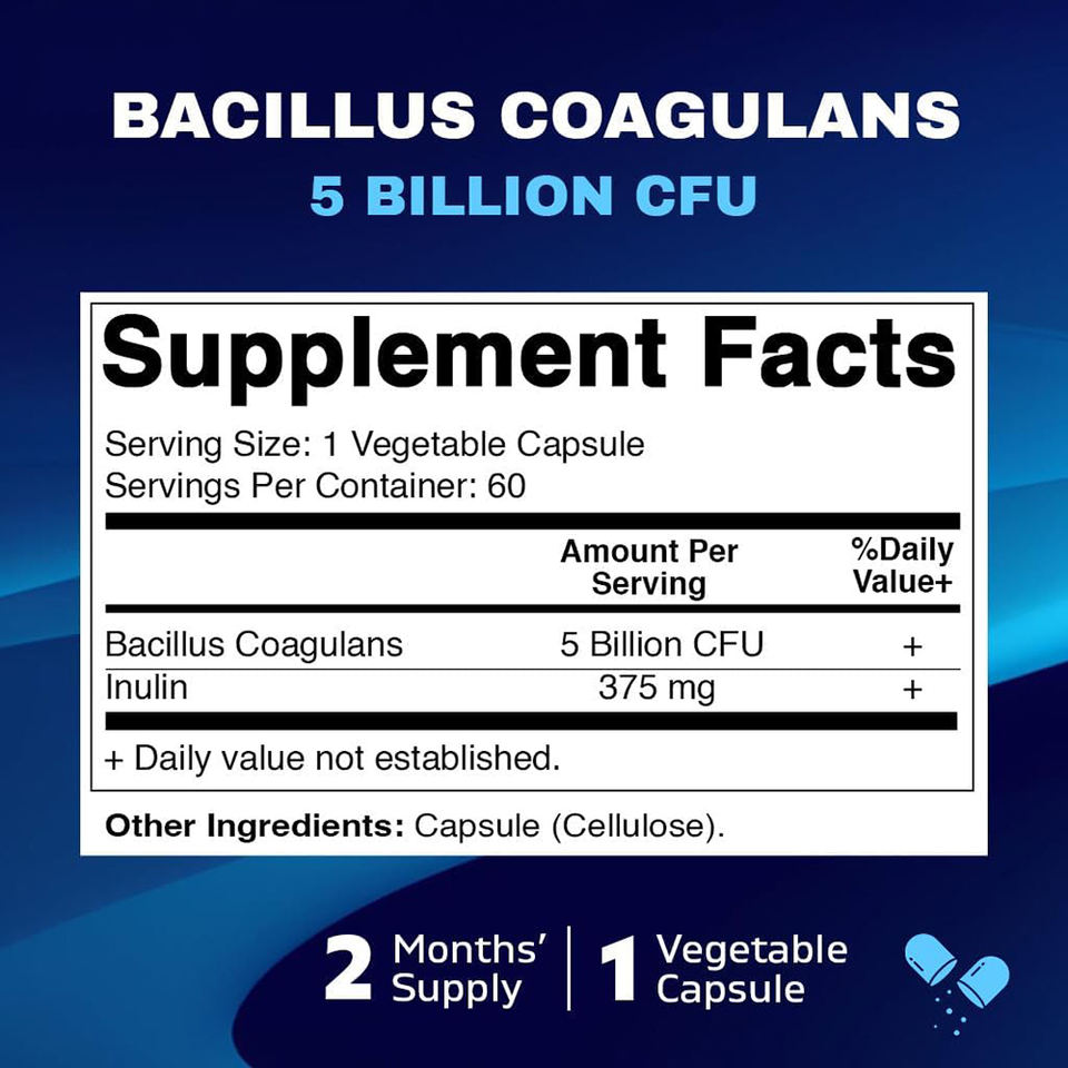 Bacillus Coagulans Probiotic Capsules 5 Billion CFU with Prebiotic ...