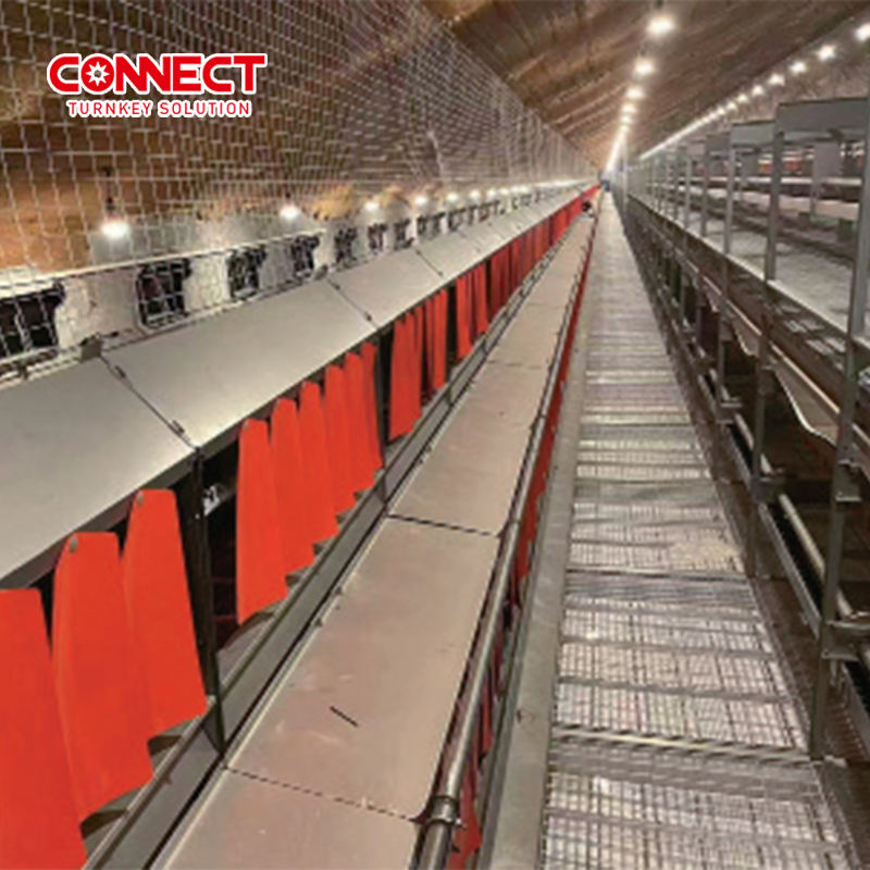 48 V 7/10/12 W Long-lasting Lamp Energy Efficient Poultry Egg Chicken ...