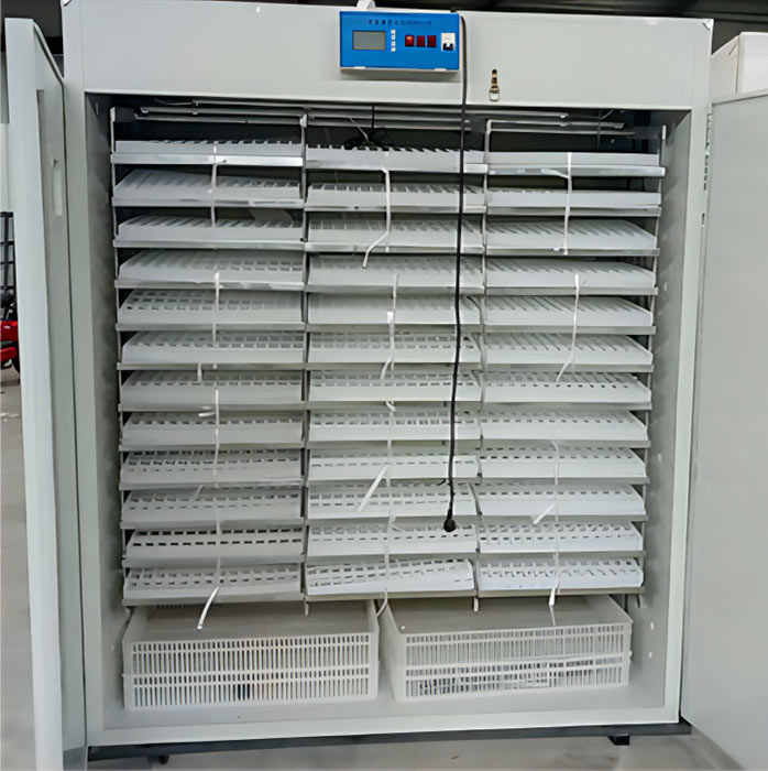 High Capacity Egg Incubator - 5000 Eggs Automatic Hatchery