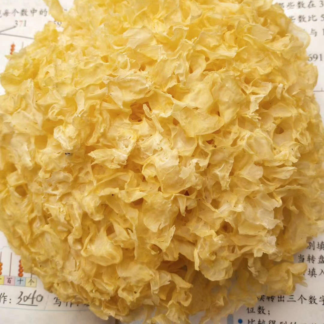 How to Choose the Best Snow Fungus Mushroom: A Complete Buying Guide