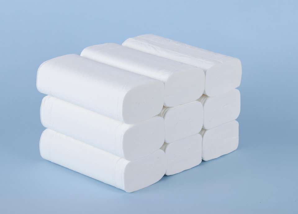 Large Quantities of Toilet Paper. Design Your Own Brand. Low-priced ...