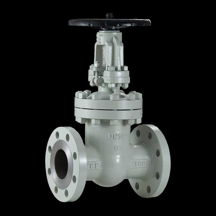 316 Stainless Steel API 600 Class 300 Manual Power Gate Valve Corrosion ...