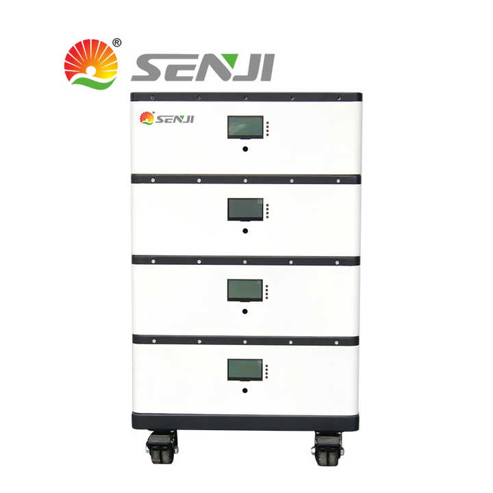 Home Use Inverter and Lifep04 Lithium Iron Phosphate Battery 48v ...