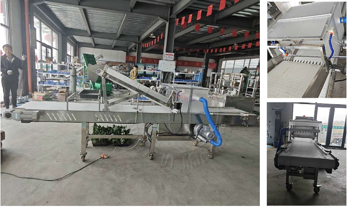 Small Capacity Bean Sprouts Harvester - Efficient & Durable