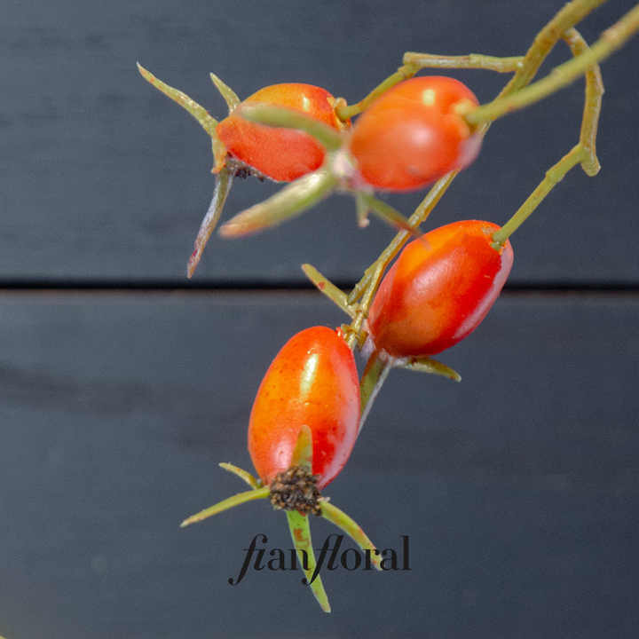 ROSE HIP SPRAY Ceramic Persimmon Vase for Home Decor Christmas and ...