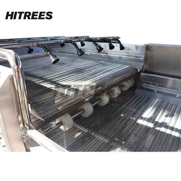 Water Spraying Type IQF Fish Shrimp Seafood Ice Glazing Machine ...