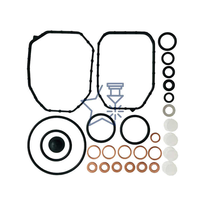 2467010003 VE Fuel Injection Pump Repair Kit 800920 for Iveco, Renault ...