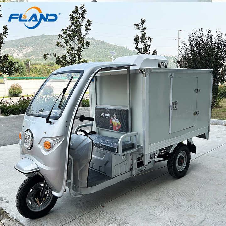 Frozen Cabin Three Wheel Motorcycle - Efficient Ice Cream Delivery