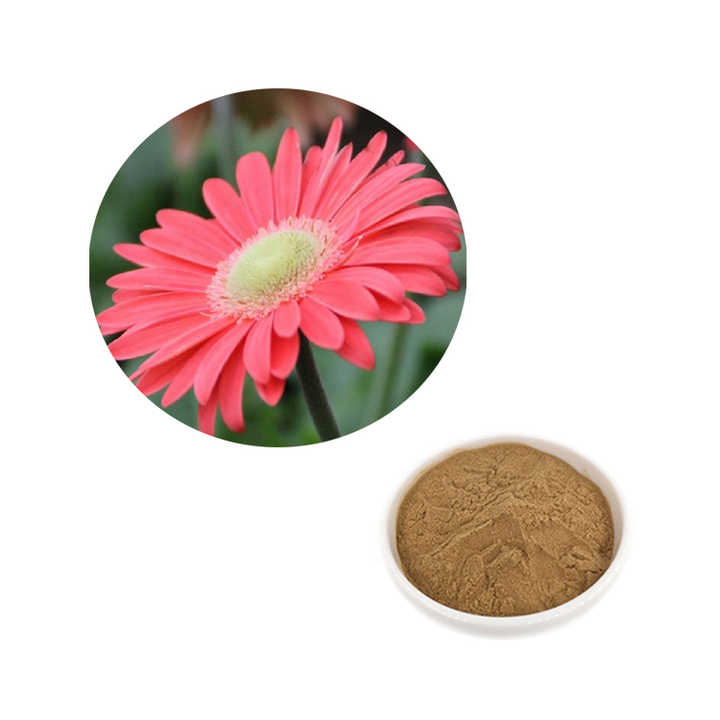 HONGDA Factory Supply Acmella Oleracea Extract Powder Spilanthol