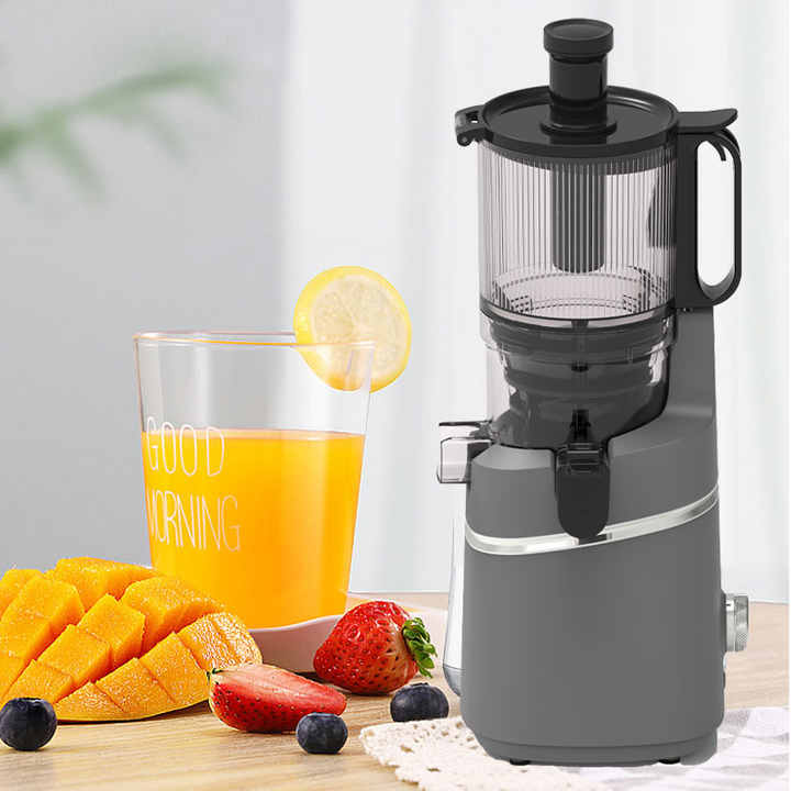 SJ-016 200W Silver Crest Electric Juicer - Cold Press & Masticating