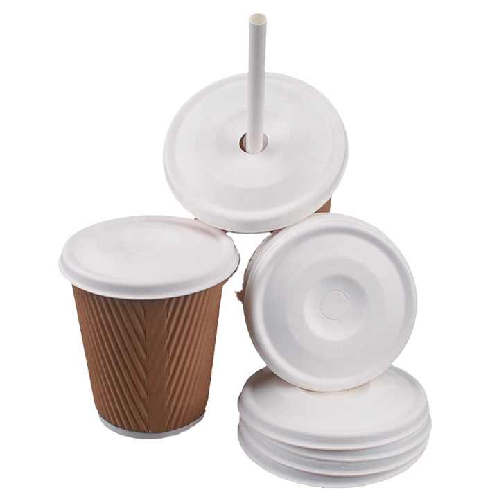 PFAS Free Disposable Eco Friendly Compostable Biodegradable Paper Pulp ...