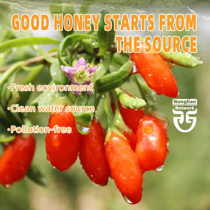 Wholesale Dried goji Ningxia Cheap Price Red Goji Berries Fruit Chinese ...