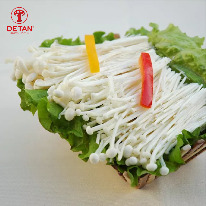 How to Choose the Best Enoki Mushroom Spawn for Home Cultivation