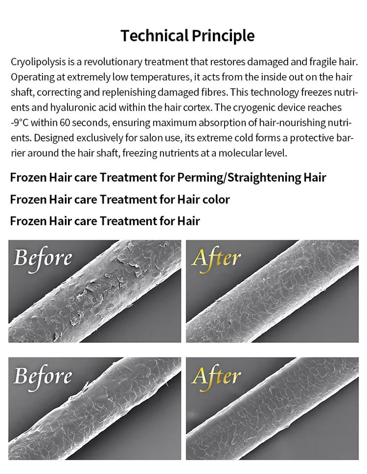 Frozenable Haire Machine Hair Straight Care Machine Ice Cold for ...
