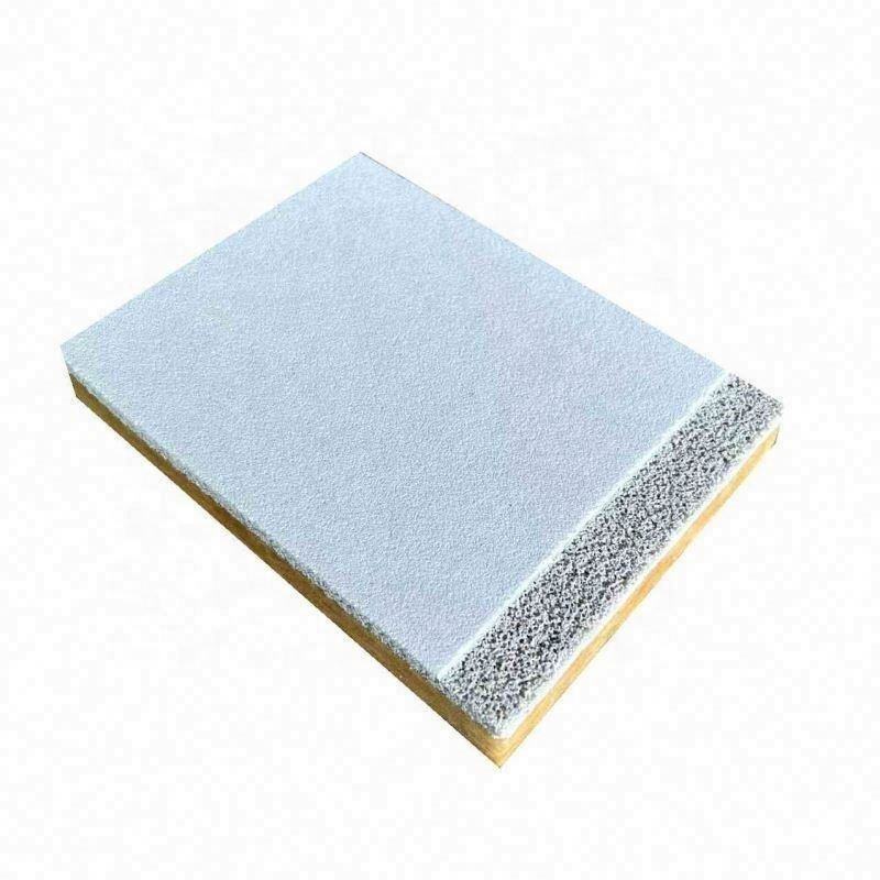 Monolithic Seamless Acoustic Ceiling Oncealed Ceilings Er Sound ...