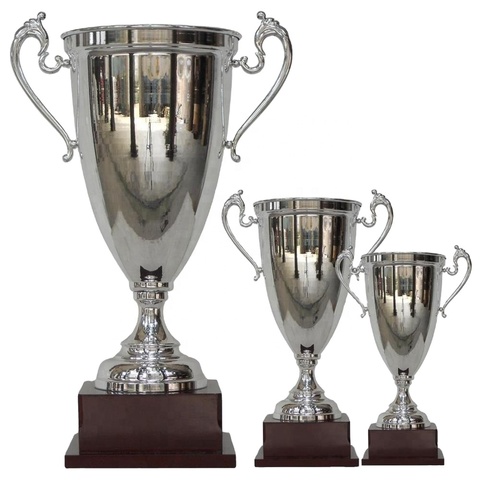 Company Overview - ZHENGZHOU TROPHY SHINE CO., LTD.