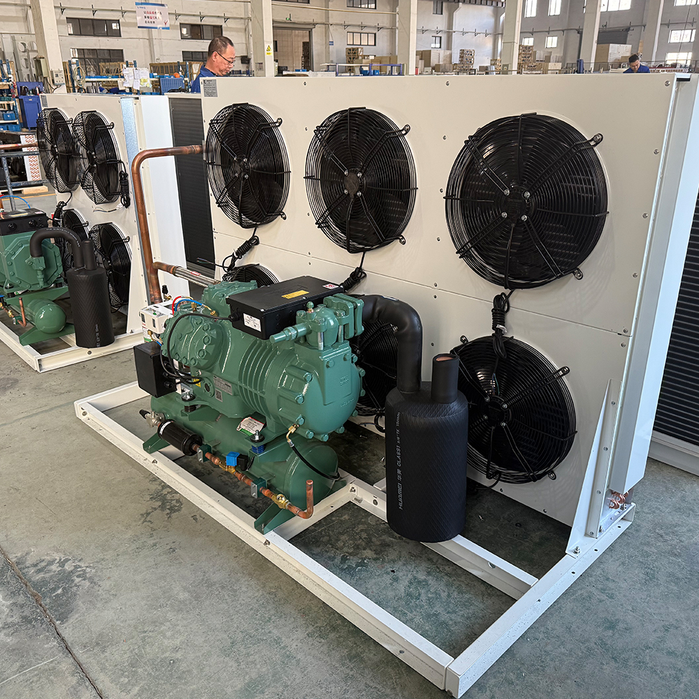Mejore la eficiencia con las soluciones avanzadas de bitzer compresor ...