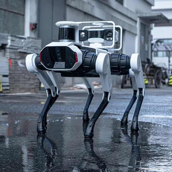 Robot Dog Quadruped Robotics for Adults - Embodied AI