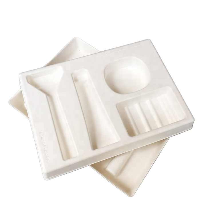 Custom Razor Paper Pulp Packaging - Biodegradable Trays