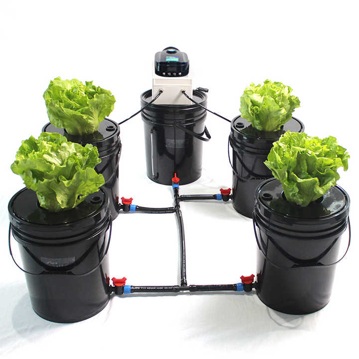 5 Round Bucket Aeroponic System for Home Hydroponics