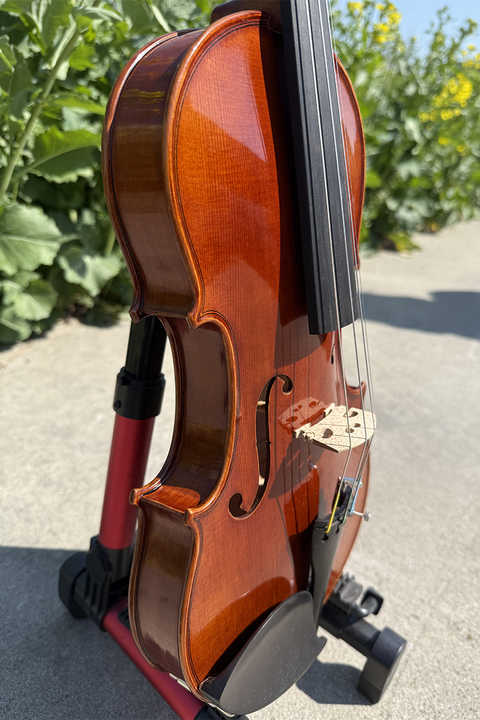 Guan Shang Chi GCV European Violin 500A - Professional Quality