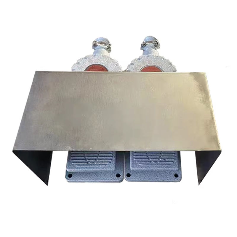 IP65 WF1 Corrosion-Resistant Explosion-Proof Foot Switch with ...