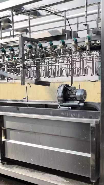Efficient Poultry Slaughtering - Automatic Hot Water Scalding Machine