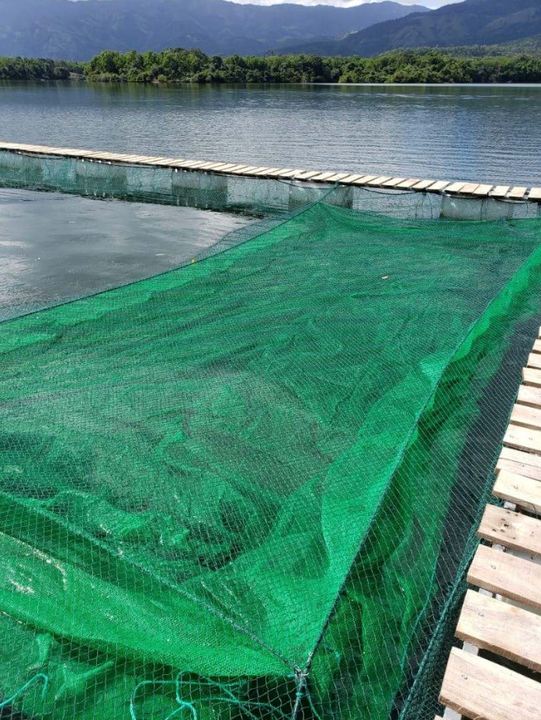 Aquaculture Fish Farming - Efficient Floating Net Cages