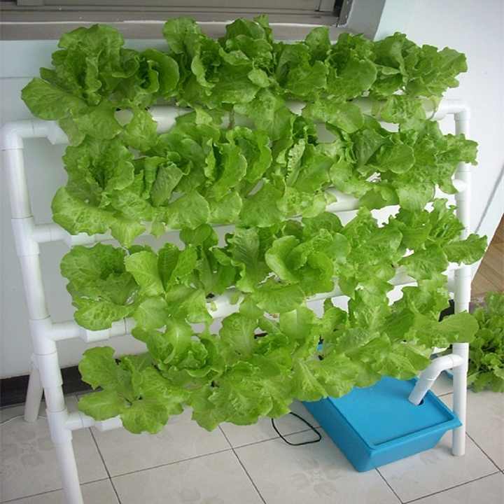 36 Holes PVC Pipe Hydroponic Indoor Grow System - Easy Growing