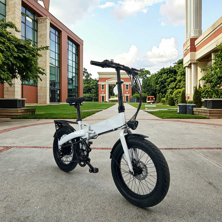 Customize Folding Electric Bike for Adults 36v/13ah Lithium Battery 500W Motor Electric Foldable ...