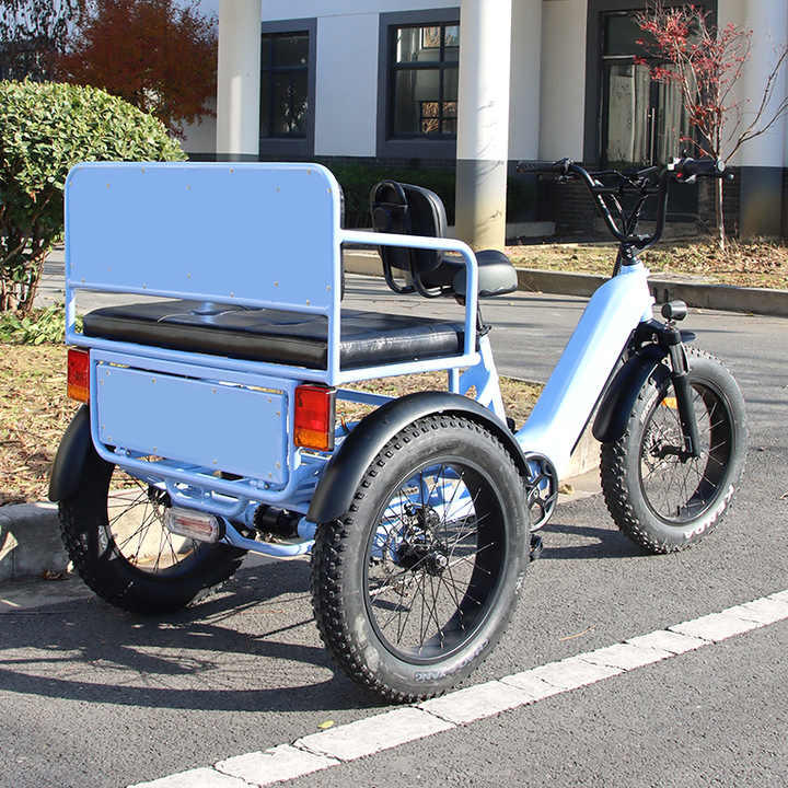New Style 3 Wheel Manned Electric Tricycle Front Drive Family Cargo ...