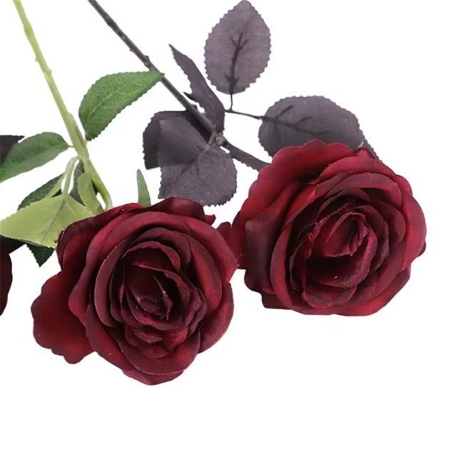 How to Choose the Best Black Rose Flower for Your Needs