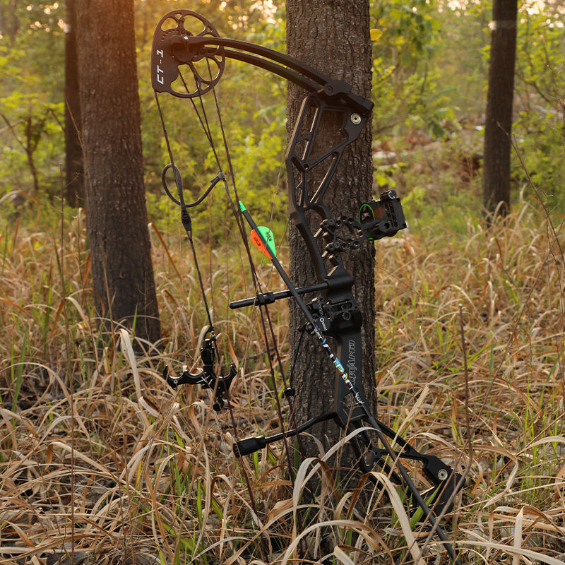 How to Choose the Best Matthews Lift X Bow for Your Needs