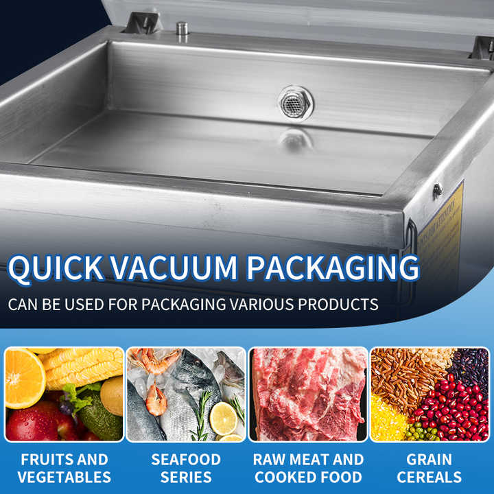 260 A3 Stainless Steel Desktop Vacuum Sealer for Home & Restaurant Use
