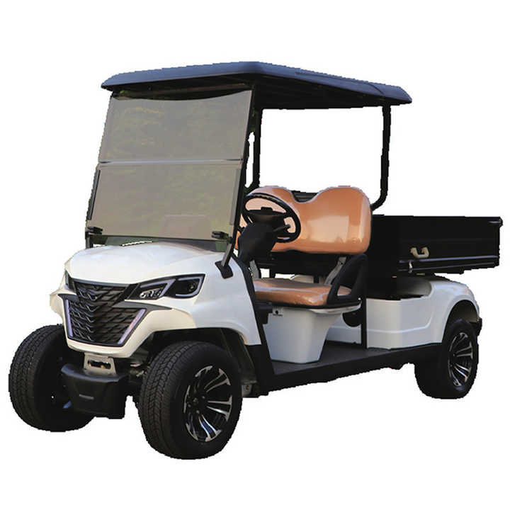 Eagle Cargo Golf Cart Street Legal 4 Seater Golf Cart off Road Electric ...