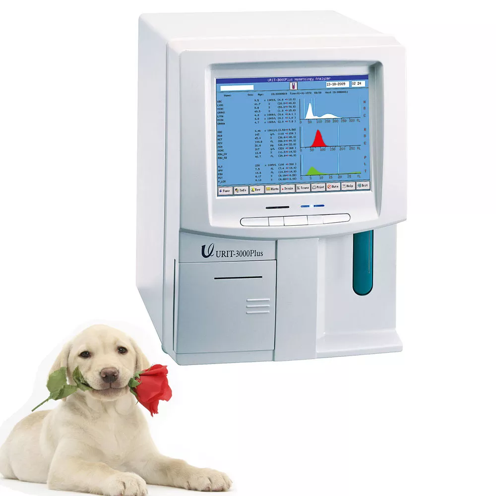 Soluciones Óptimas para la Eficiente urit veterinario en Prácticas ...