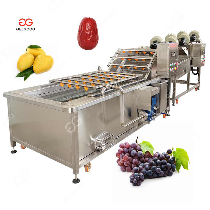 Ozone Food Sterilizer - Efficient Jackfruit & Veg Wash Line