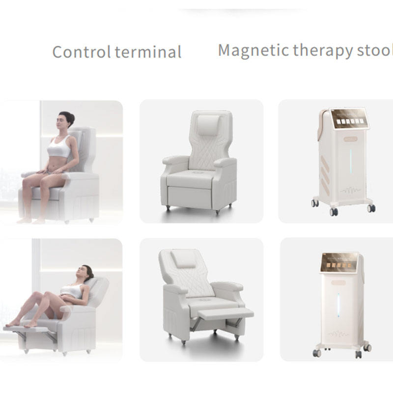 2026 Wifi Connect Maternity Pelvic Muscle Support Cushion - Pain Relief ...