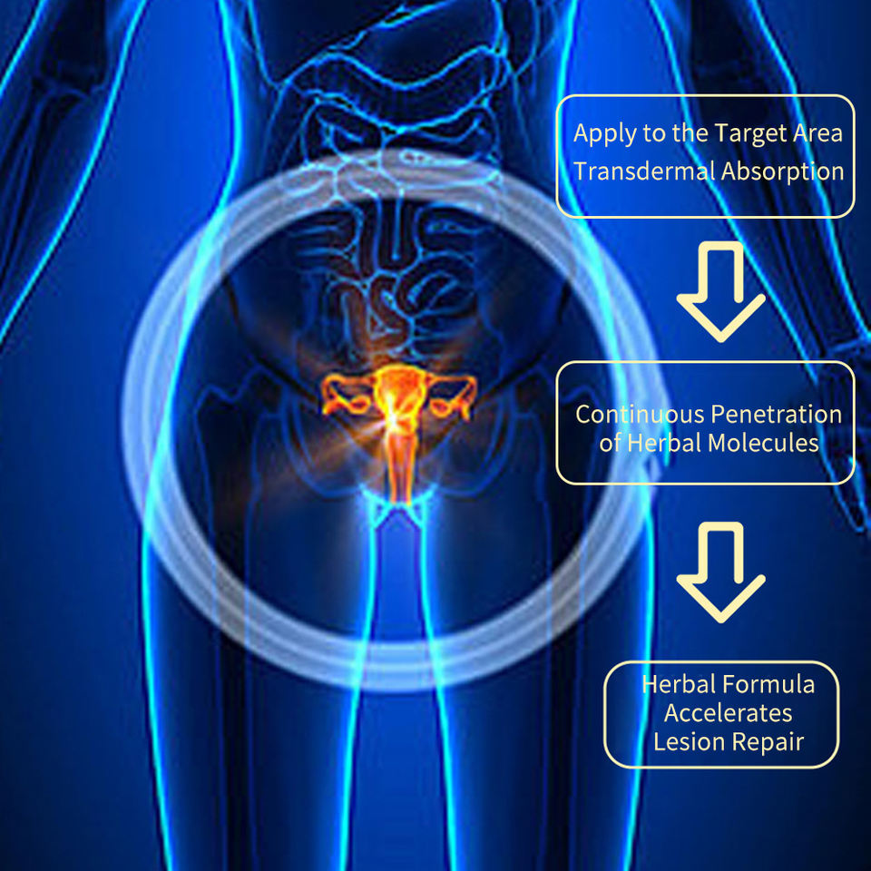 Front Line Plaster, Front Line Plaster, Front Line Renal Therapy ...