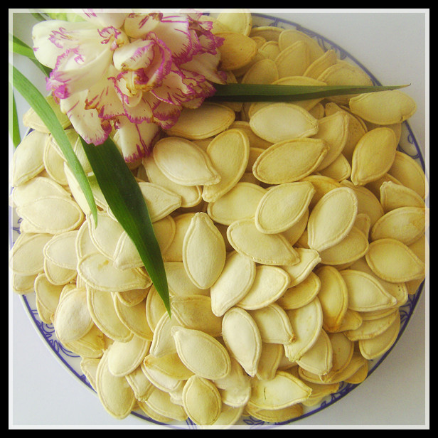 How to Choose Squash Seeds with Crop Pic: A Complete Buying Guide
