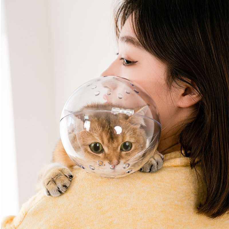 Kualitas Premium helm kucing moncong untuk Kenyamanan dan Keamanan ...