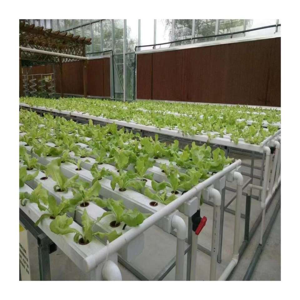 Hydroponic Grow System Plastic PVC Pipe PE Flat NFT Farm PVC Channel ...